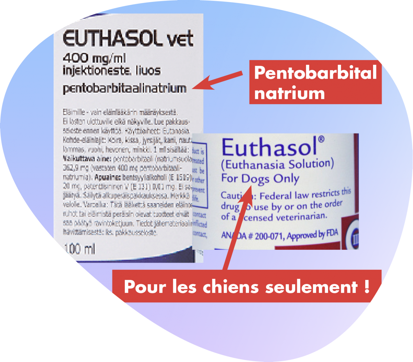 Accueil